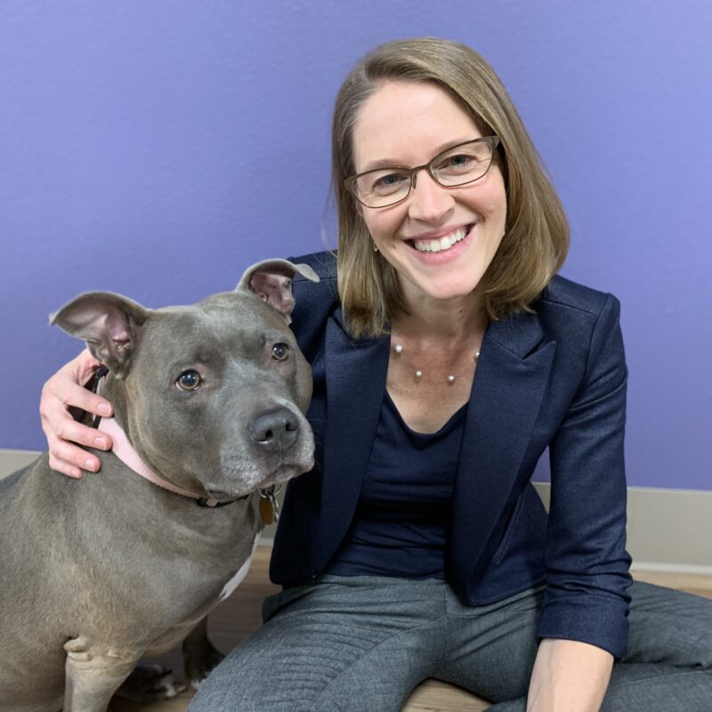 Holiday Safety with Pets - Don't Forget the Pets