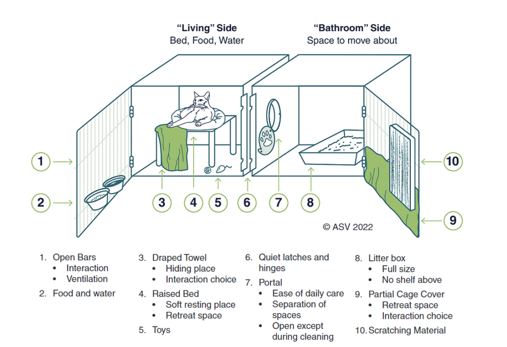 Best Practices for Temporary Pet Housing - Don't Forget the Pets