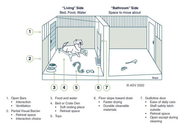 Best Practices for Temporary Pet Housing - Don't Forget the Pets