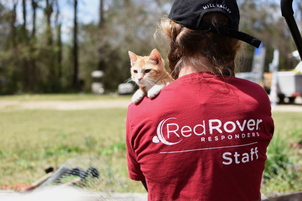 A Judgement-Free Approach to Spay and Neuter - Don't Forget the Pets